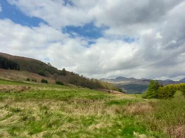 Arbroath - BBC Weather