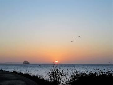 Ringwood - BBC Weather