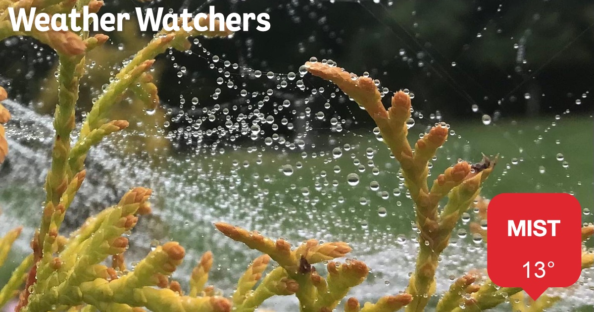 Report - BBC Weather Watchers