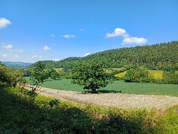 Llanigon - BBC Weather