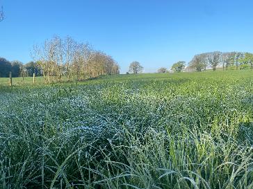 Portadown - BBC Weather