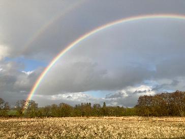 Halesworth - BBC Weather