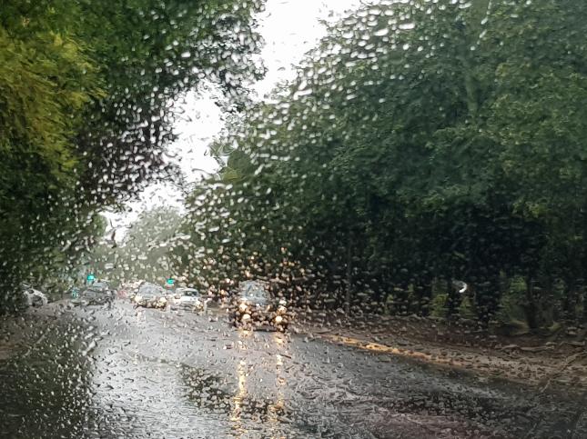 Report - BBC Weather Watchers
