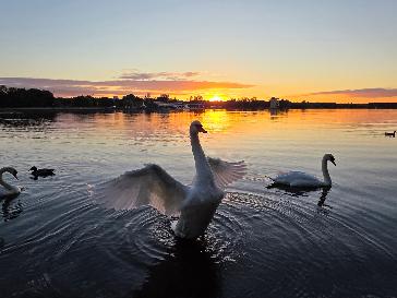 Prestwick - BBC Weather