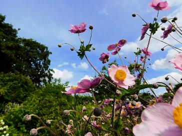 Grantham - BBC Weather