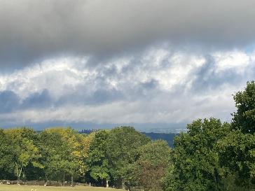 Gravesend - BBC Weather