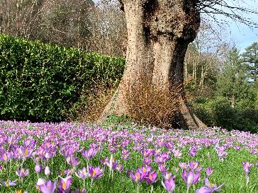 Staines-upon-Thames - BBC Weather