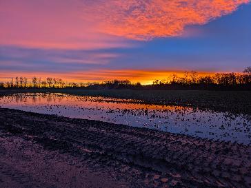 Beeston - BBC Weather