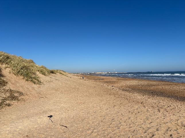 Report - BBC Weather Watchers