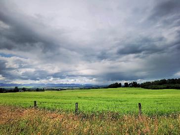 Longforgan - BBC Weather