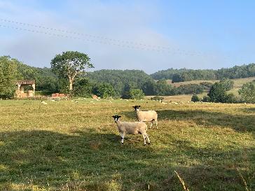 Coventry - BBC Weather