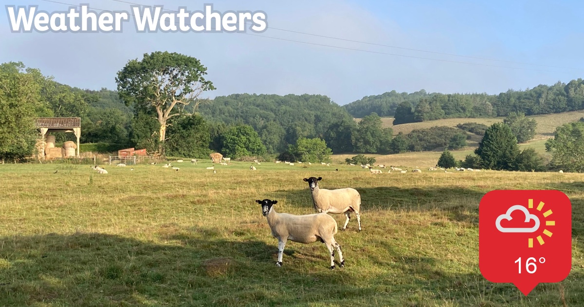 Report - BBC Weather Watchers