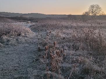 Worthing - BBC Weather