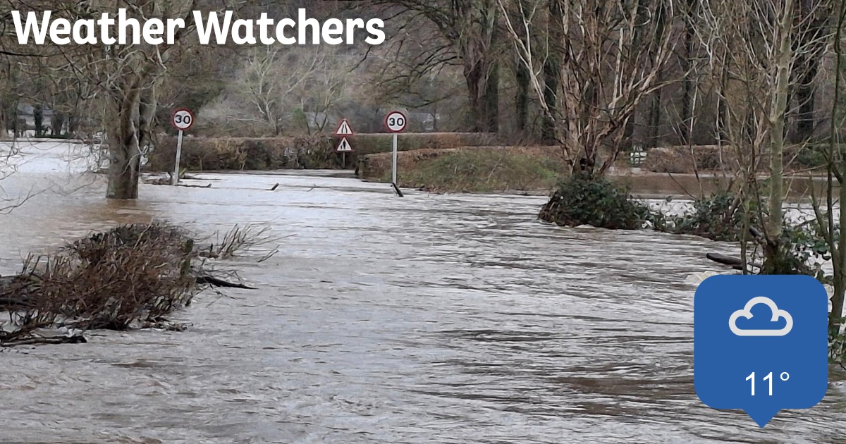 Report - BBC Weather Watchers