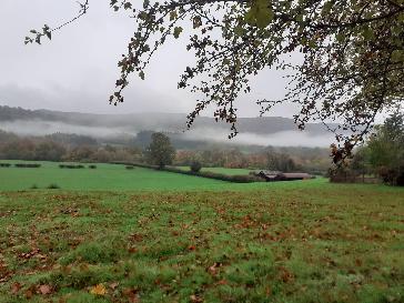 Cardiff - BBC Weather