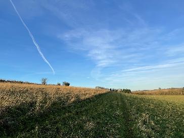 Trowbridge - BBC Weather