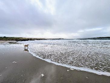 Shetland - BBC Weather
