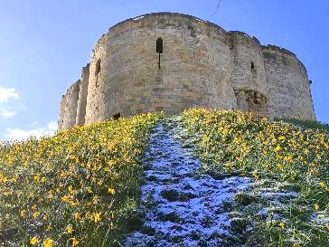 Whitby - BBC Weather