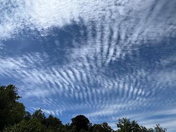 Worthing - BBC Weather
