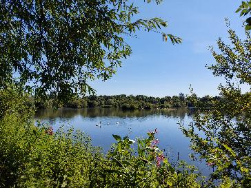 Reading - BBC Weather