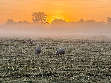 Redditch - BBC Weather