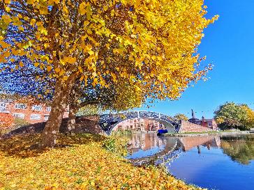 Wolverhampton - BBC Weather