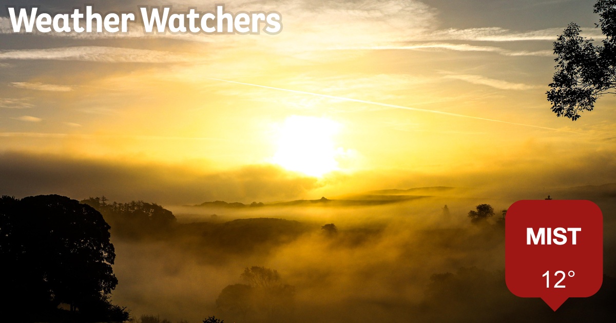 Report - BBC Weather Watchers