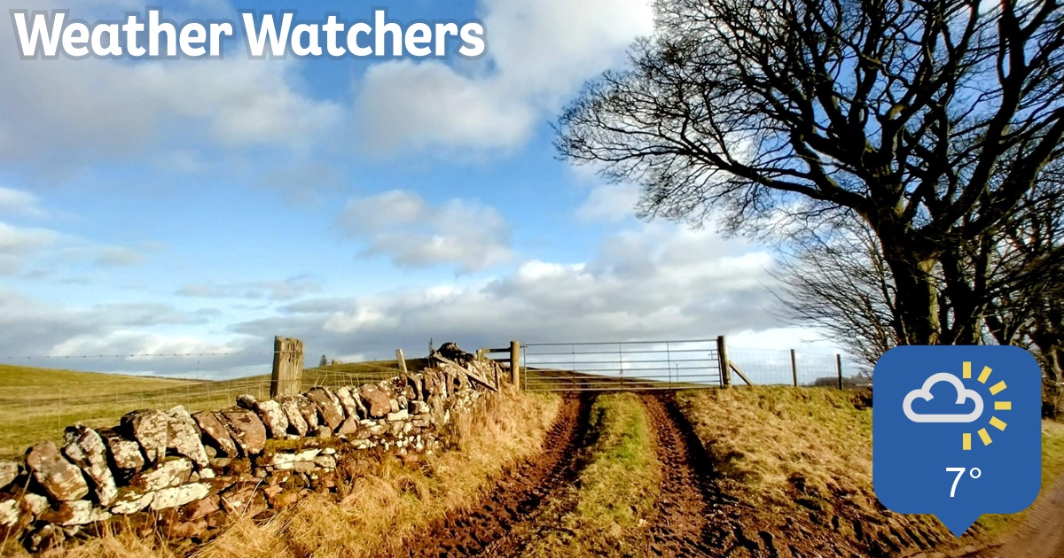 Report - BBC Weather Watchers