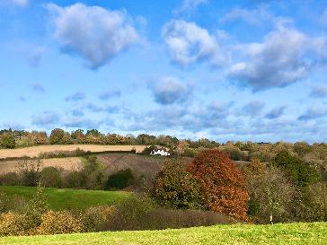 Crawley - BBC Weather