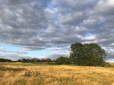 Norwich - BBC Weather