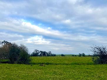 Preston - BBC Weather