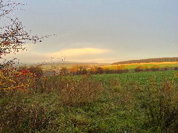 Corsham - BBC Weather