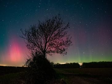 Colchester - BBC Weather