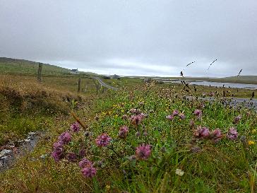 Shetland - BBC Weather
