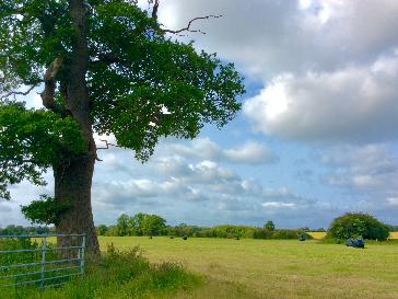 Audley - BBC Weather