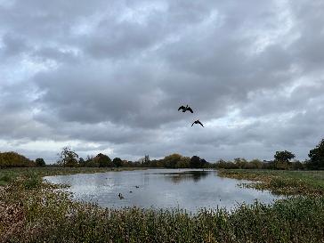 Gatwick Airport - BBC Weather