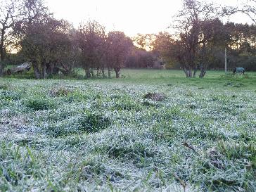 Immingham - BBC Weather