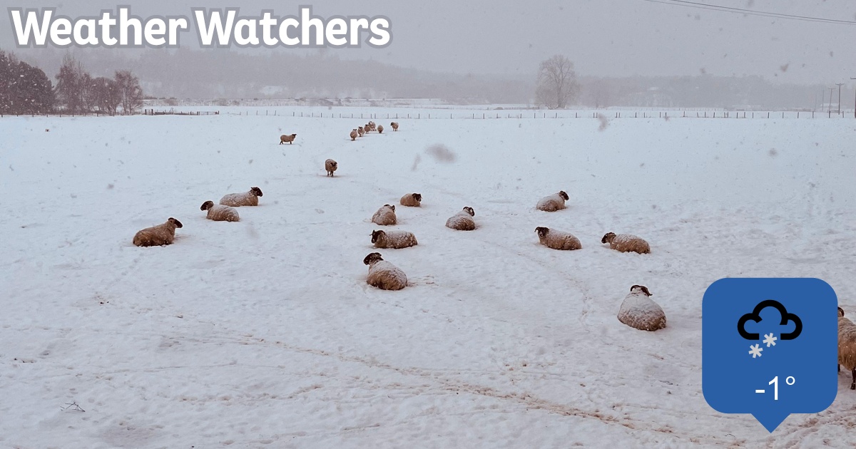 Report - BBC Weather Watchers
