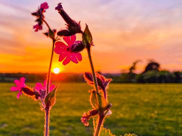 Chatham - BBC Weather