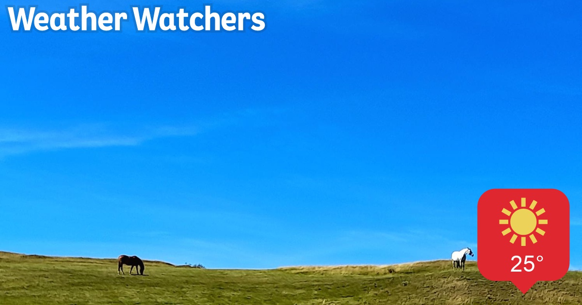 Report - BBC Weather Watchers