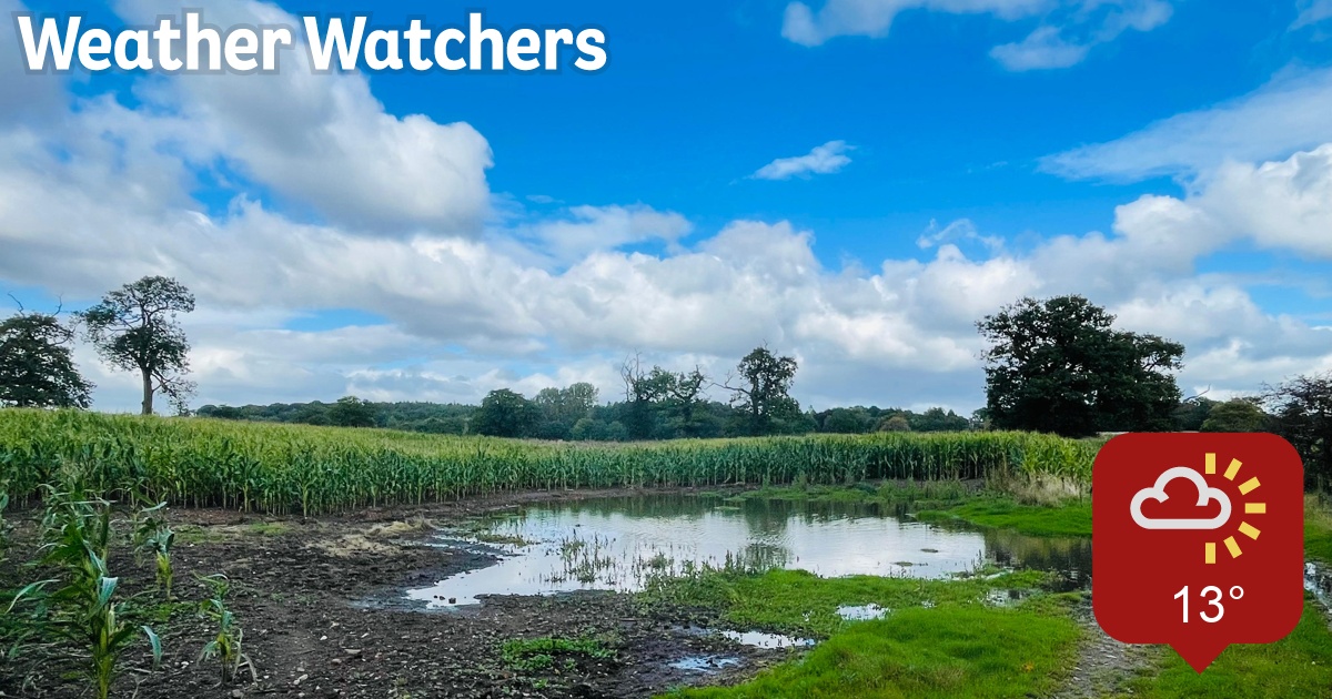 Report - BBC Weather Watchers