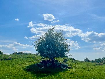 Penrith - BBC Weather