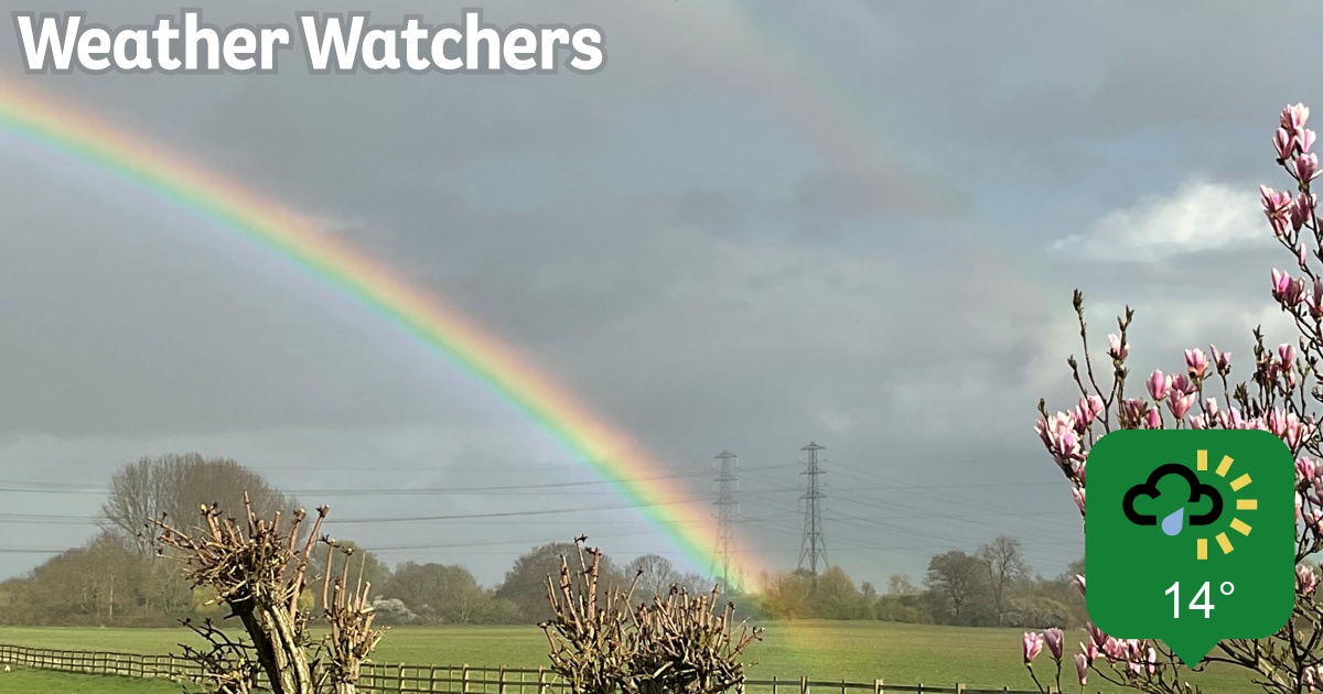 Report - BBC Weather Watchers