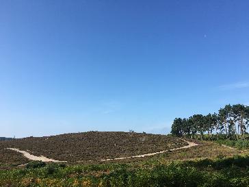 Guildford - BBC Weather