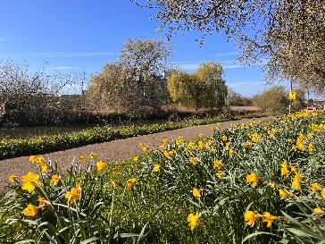 Daventry - BBC Weather