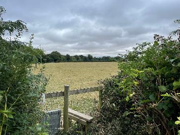 Trowbridge - BBC Weather