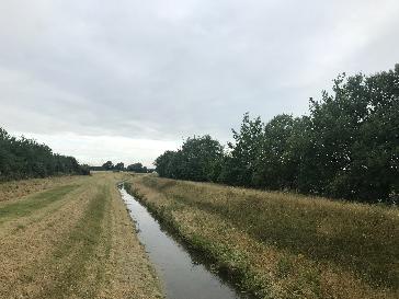 Peterborough - BBC Weather