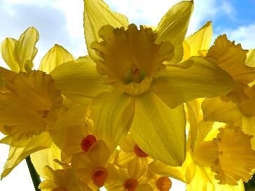 Evesham - BBC Weather