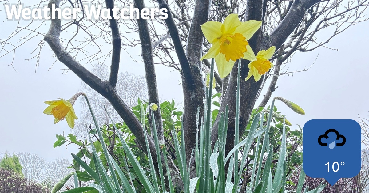 Report - BBC Weather Watchers