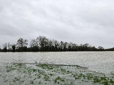 Peterborough - BBC Weather